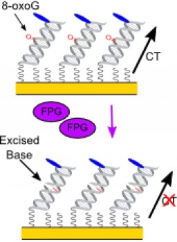 Jason Slinker - UT Dallas Profiles