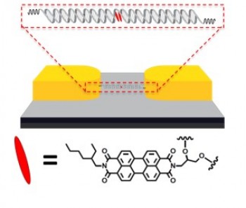 Jason Slinker - UT Dallas Profiles